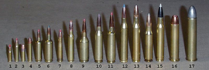 Hunting Cartridges for New Deer Hunters