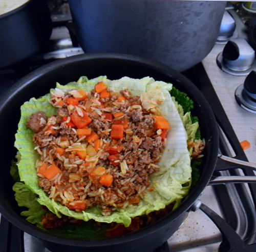 Bored? Make Some Moose Cabbage Lasagna